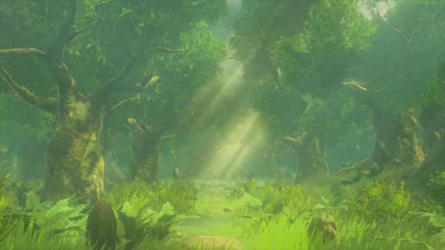 Zelda Tears of the Kingdom: How to beat the Lost Woods and reach Korok ...