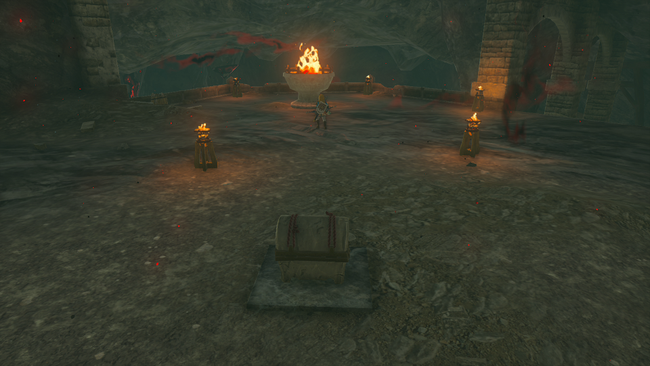 Zelda Tears of the Kingdom: Hylian Shield location & unlock | RPG Site