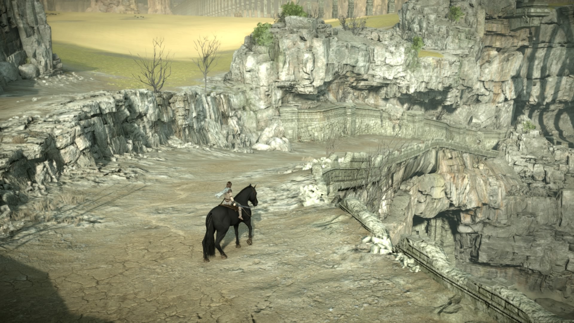 Shadow Of The Colossus Walkthrough & Guide Part 1: How to defeat the ...